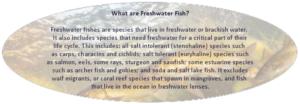 About Freshwater Fishes - IUCN/SSC Freshwater Fish Specialist Group